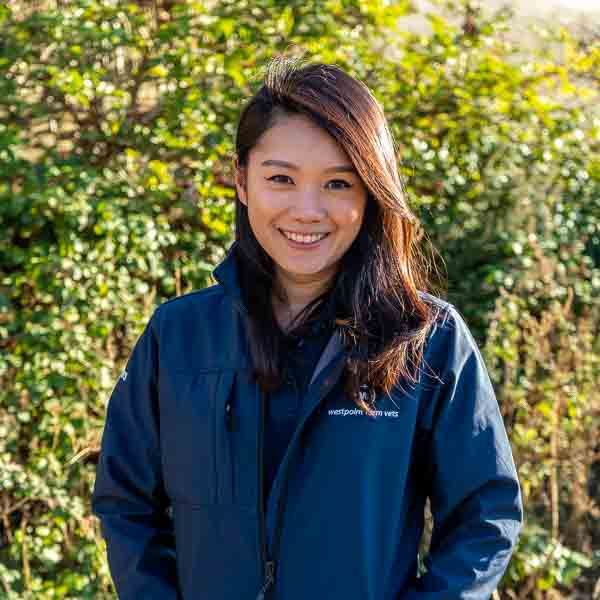 Meet Our Team | Westpoint Farm Vets